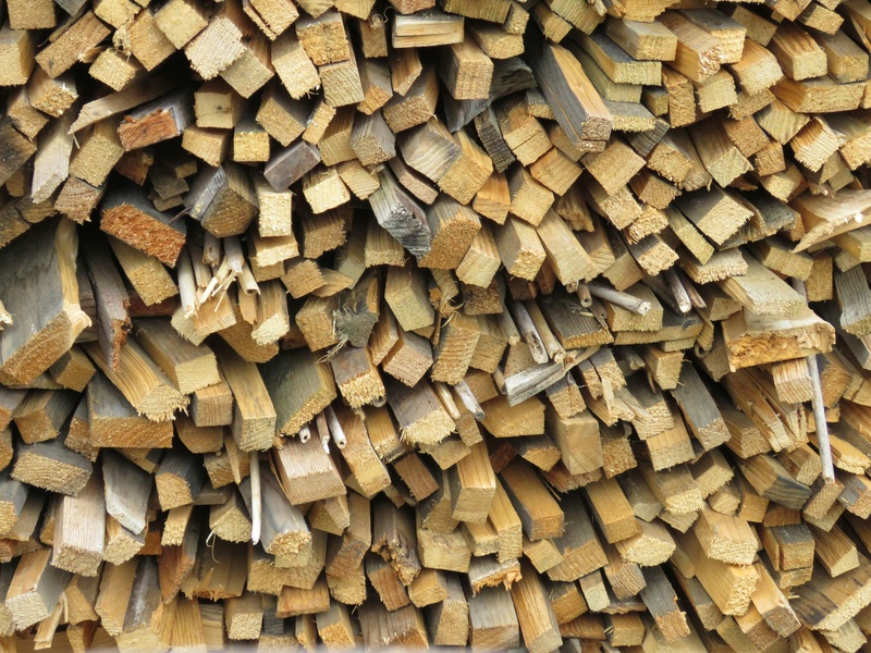 Examples of Renewable Resources - 33Science