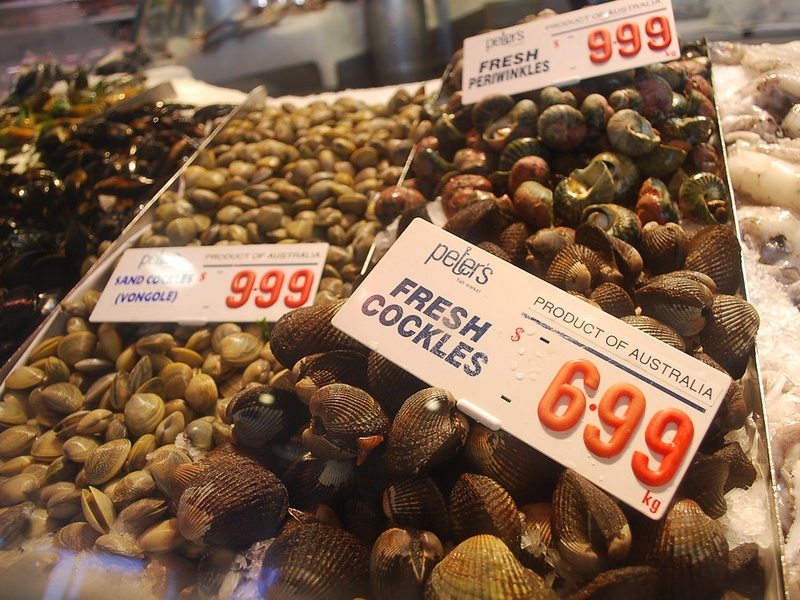 List of Mollusks - 33Science