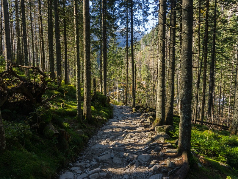 Natural Resources of Austria: The Complete List - 33Science