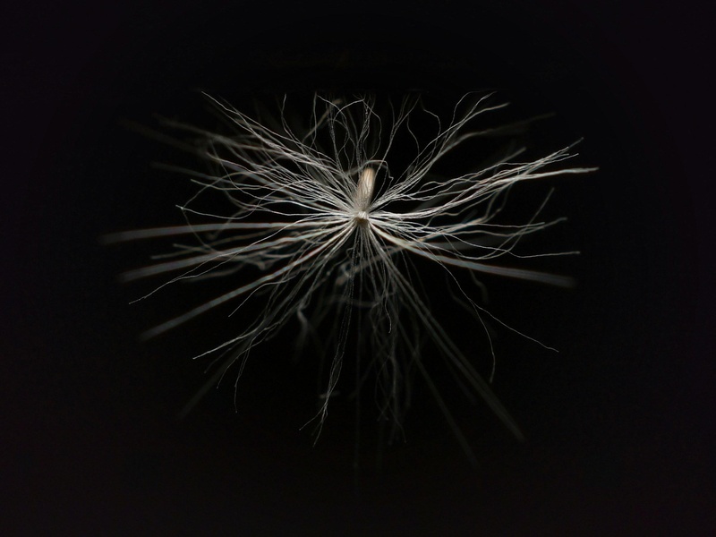 Examples of Neurons: The Complete List - 33Science
