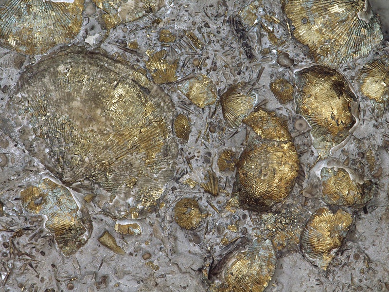 Examples of Sulfide Minerals: The Complete List - 33Science