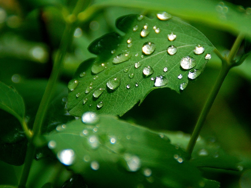 Examples of Weather Phenomena: The Complete List - 33Science