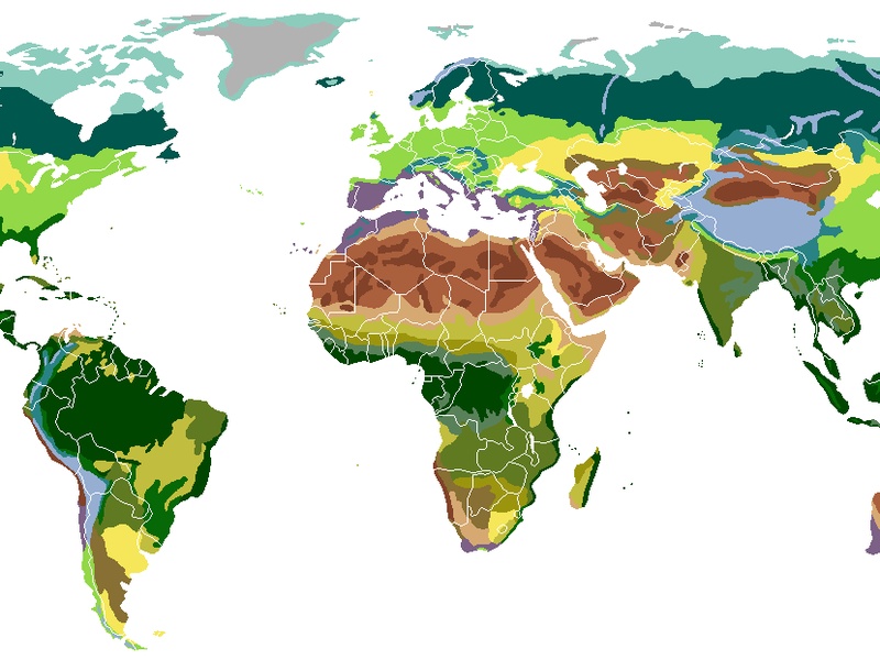 List of Forest Biomes - 33Science
